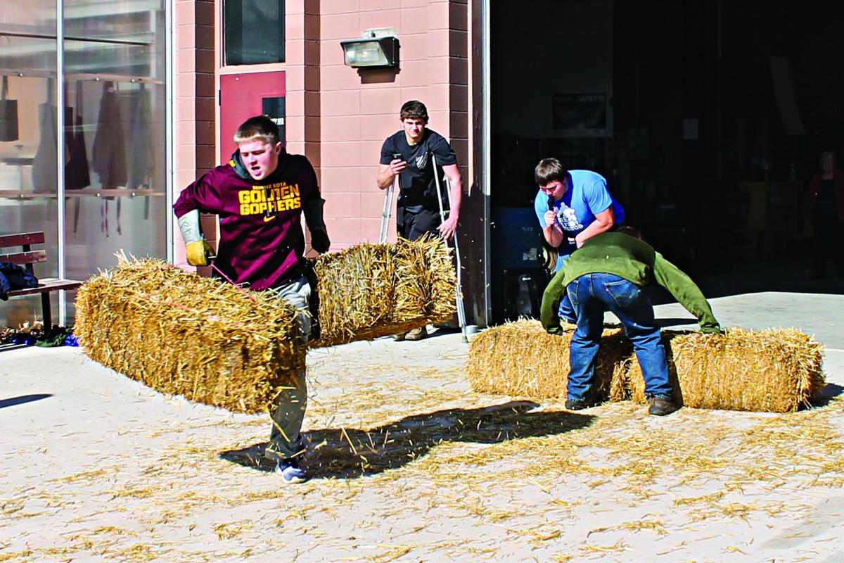 FFA week photo gallery | Gallery | sidneyherald.com