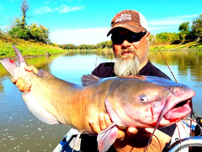 Brad’s Bites: Cats Coming Soon | Hunting and Outdoors | sidneyherald.com