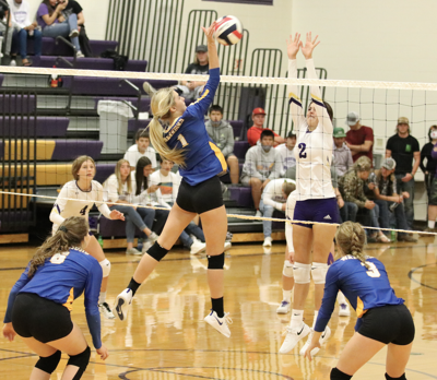 Fairview catching up in volleyball standings | Local Sports News ...