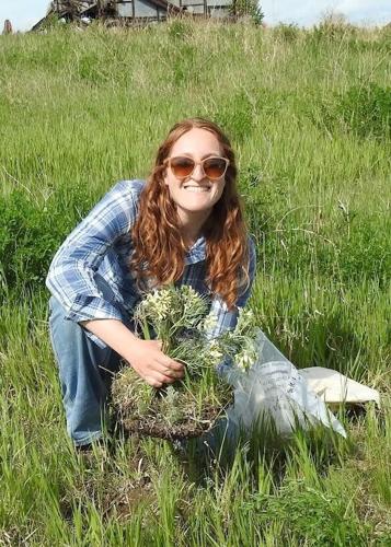 NDSU Crop Field Day Tour | Agriculture | sidneyherald.com