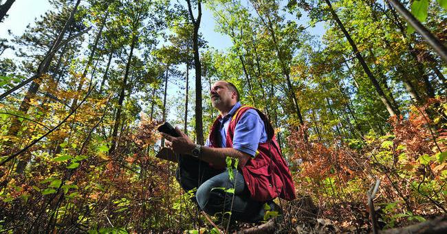 Celebrating a century of the Simcoe County Forest