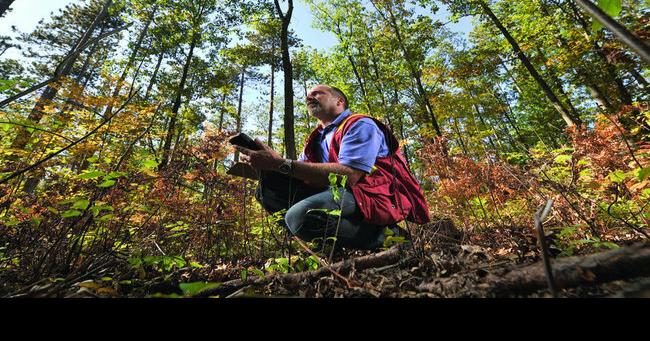 Celebrating a century of the Simcoe County Forest