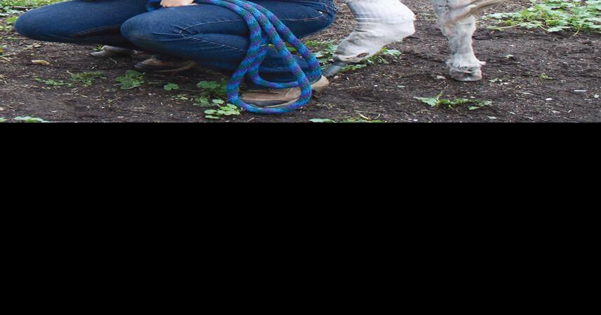 Three-legged donkey just fine