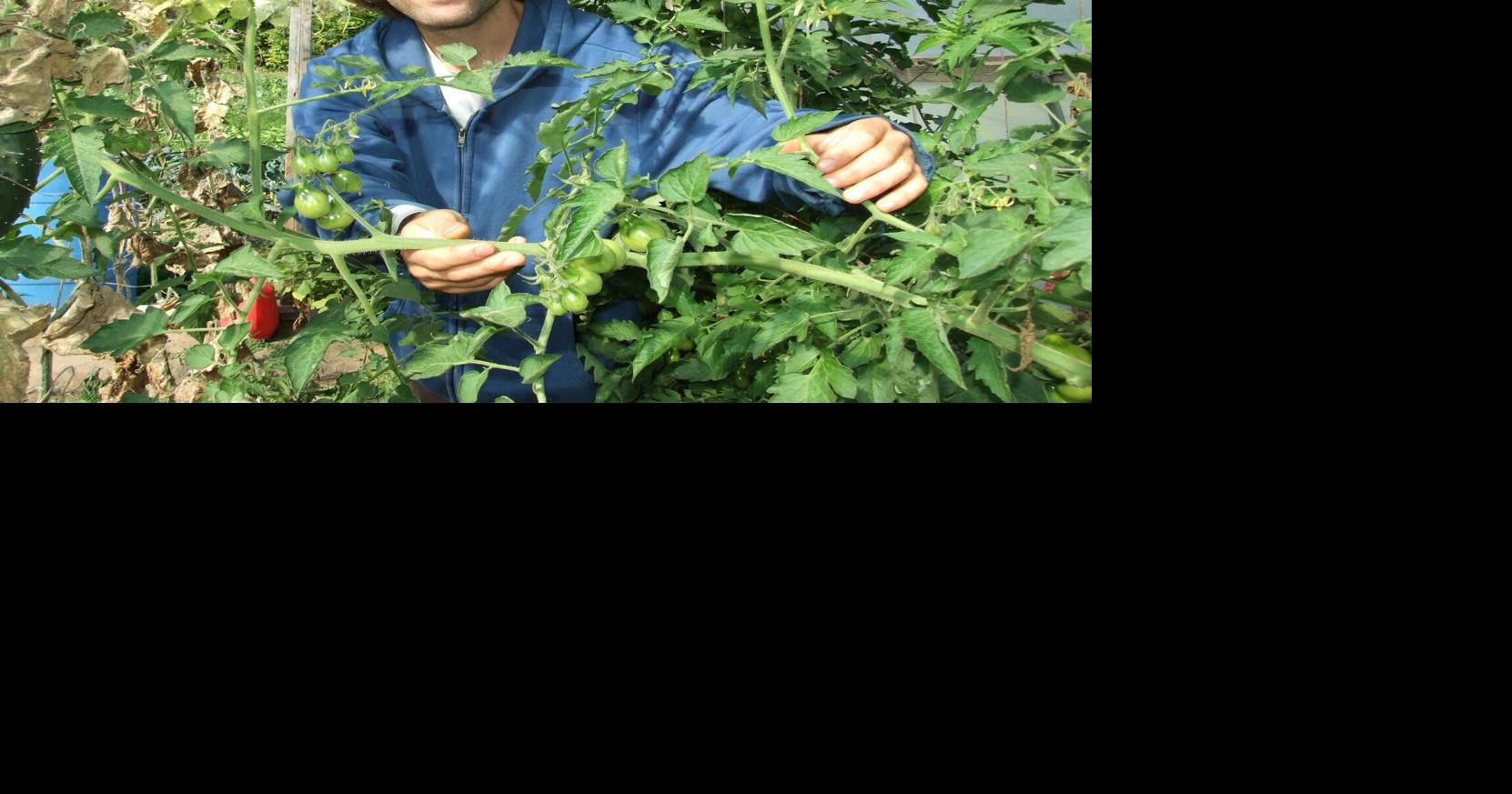 Oro-Medonte's Jacob Kearey-Moreland cultivates a love of gardening