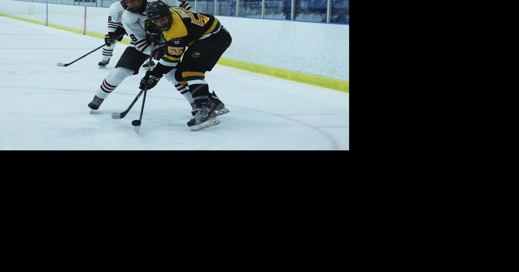 Alliston Hornets dominate weekend play
