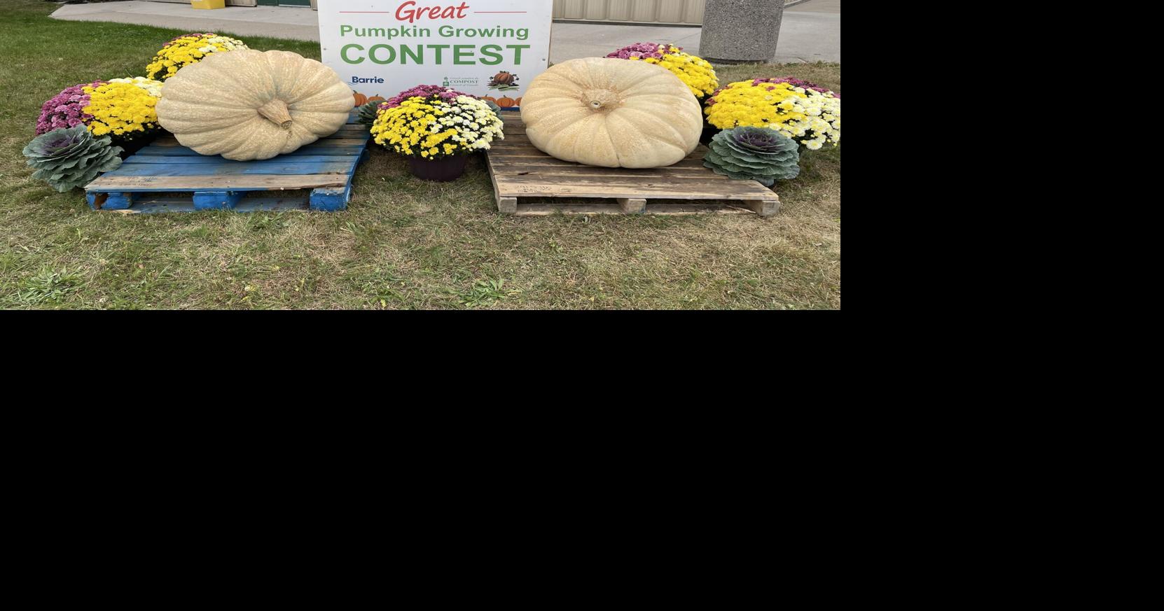 Barrie crowned national pumpkin-growing champions