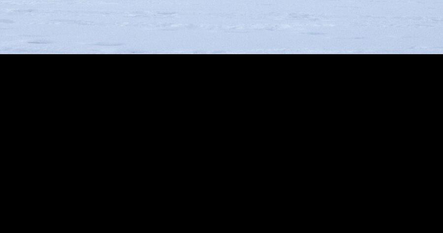 South Simcoe escapes storm’s wrath