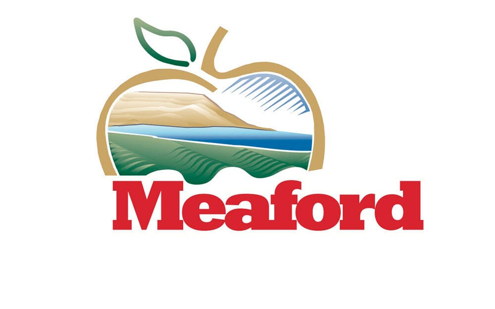 Meaford launches "shop local" campaign