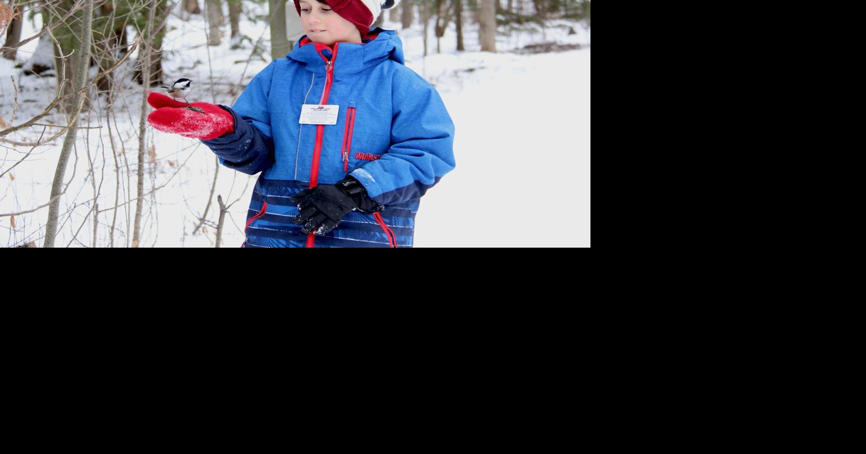 Five things to do this weekend in Simcoe County