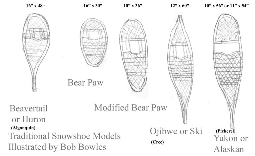 Winter is the best time for outdoor studies on snowshoes