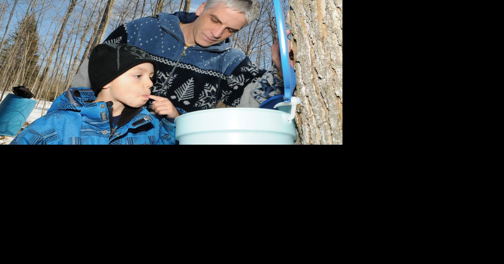 10 things to do with your kids on March Break in Central Ontario