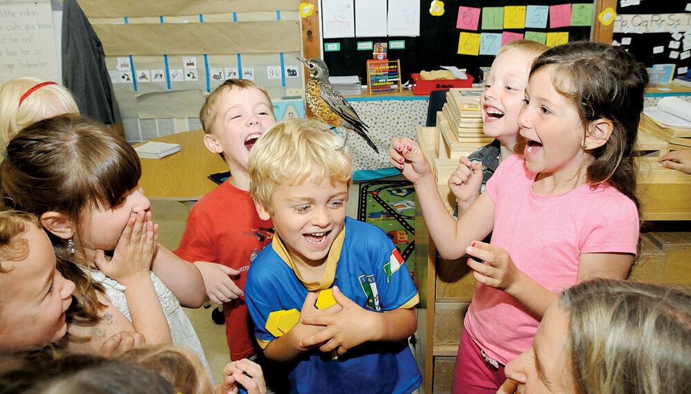 Feathered friends at Steele Street PS in Barrie
