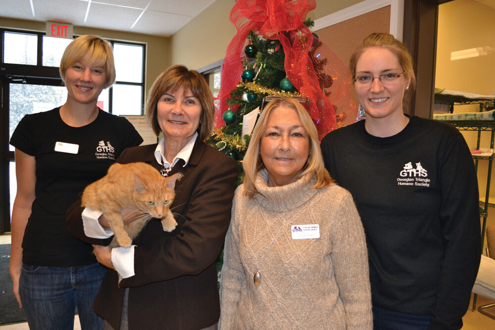 Town, humane society launch cat neutering program