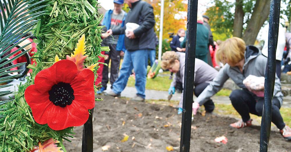 Penetanguishene tulip garden commemorates liberation of Netherlands