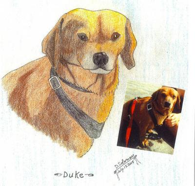 Debbie Solomon wants to be allowed to sell her artwork on the street