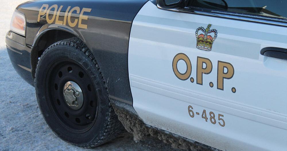 Woman arrested after bizarre incident at Grey OPP station