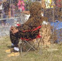 Innisfil beekeeper waits for bee beard record confirmation