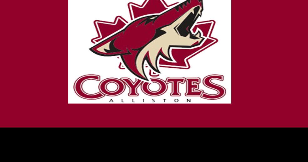 Jr. A hockey team Alliston bound