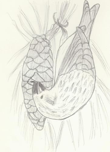 Some predictions about which birds will visit us this winter