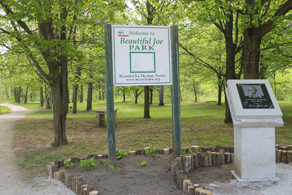 Meaford Museum working to enhance 'Beautiful Joe' collection