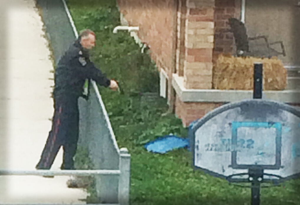 VIDEO: Alcona residents criticize police after raccoon shot on front lawn