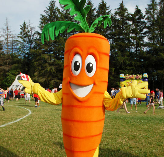 Welcome to CarrotFest!