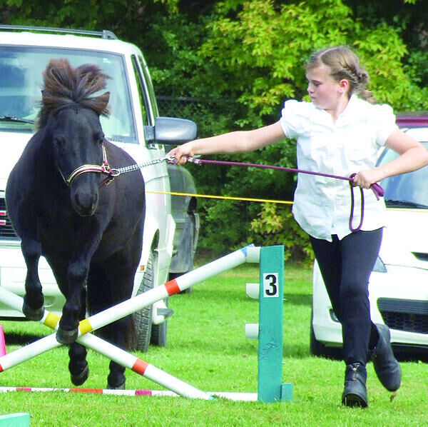 Beeton Fall Fair begins Friday
