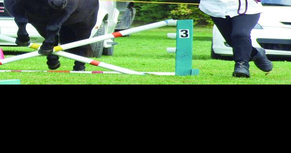 Beeton Fall Fair begins Friday