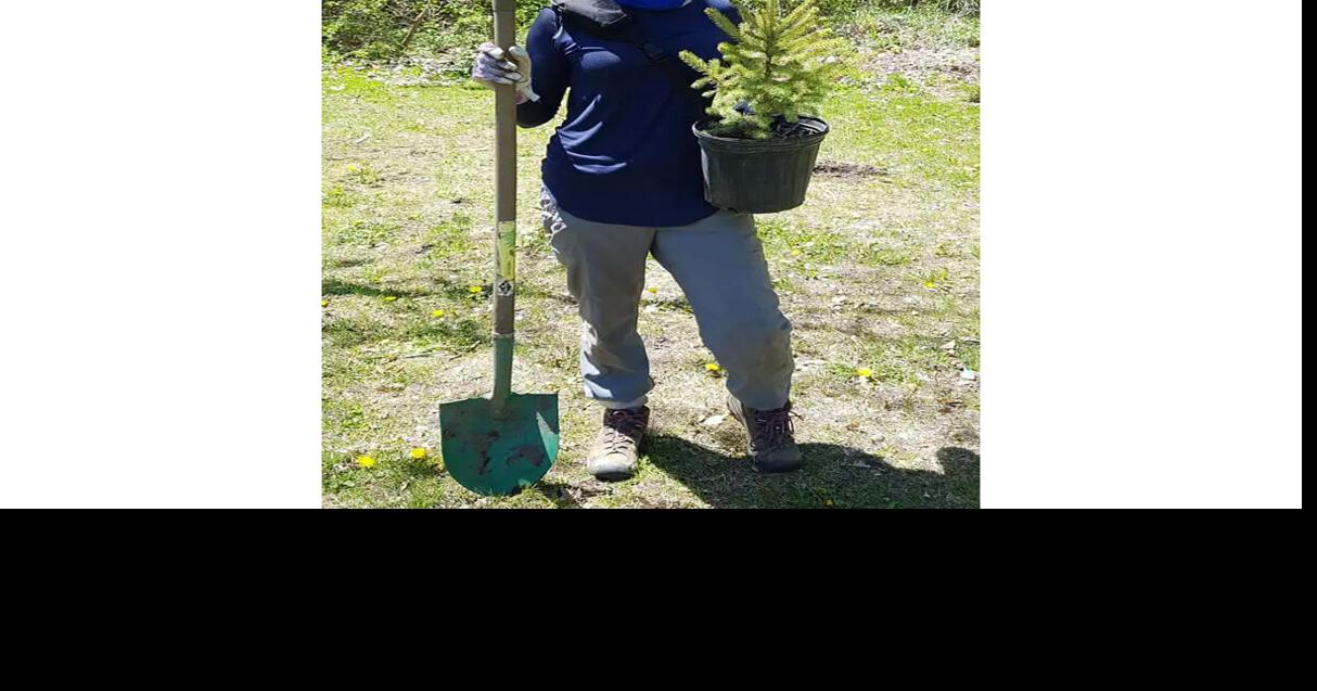Celebrate Earth Day with Living Green Barrie