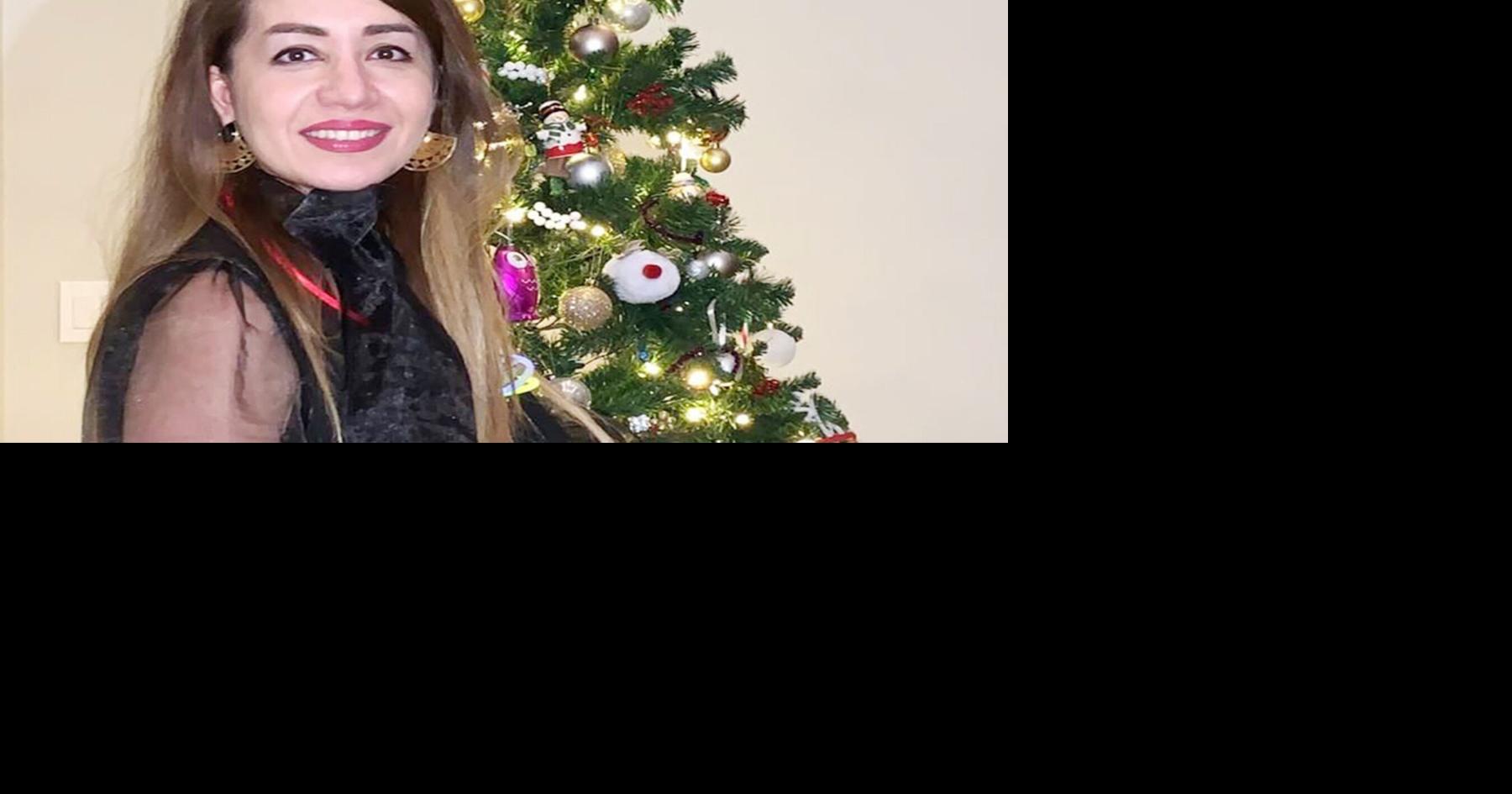 Who’s who in kidnapping and assault case of Elnaz Hajtamiri