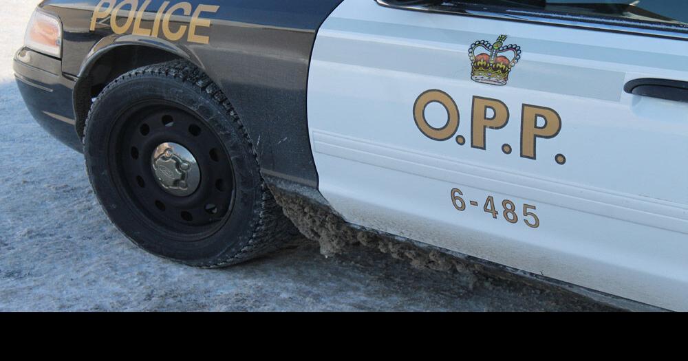 Meaford students, OPP officers to play in Hockey Challenge