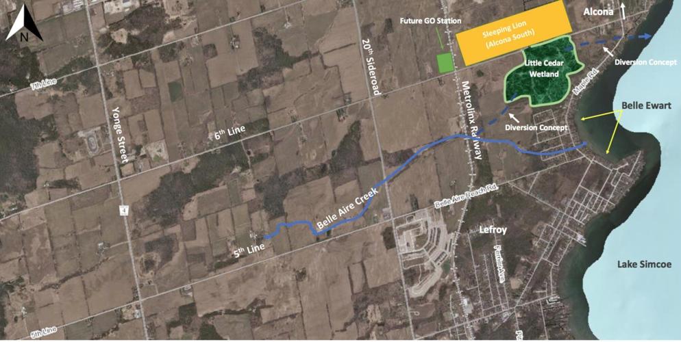 Resident feels plan to fix flooding in Belle Ewart is too little too late