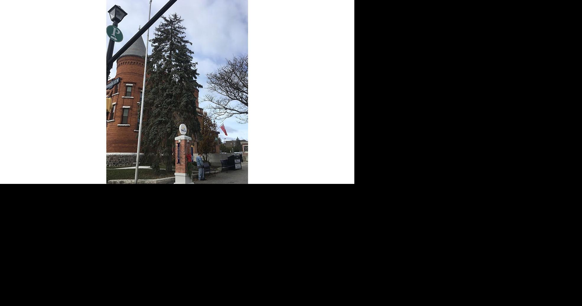 Orillia can have the best Christmas tree in Canada