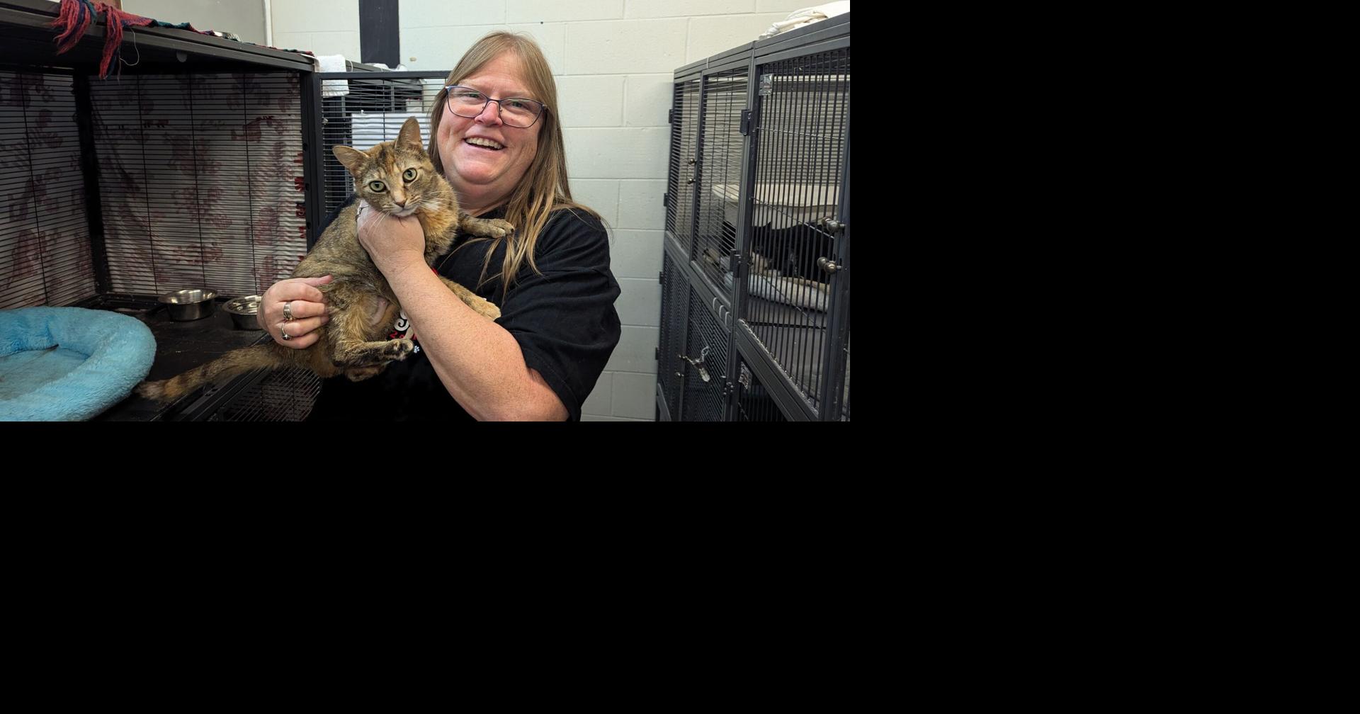 Furry Friends adopt-a-thon now on in south Barrie