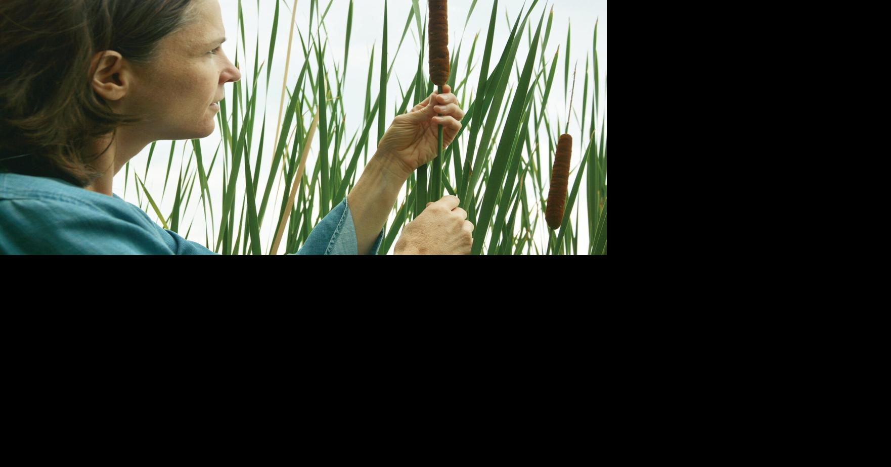 ‘We need to do better’: Seeking protection for Simcoe County green space