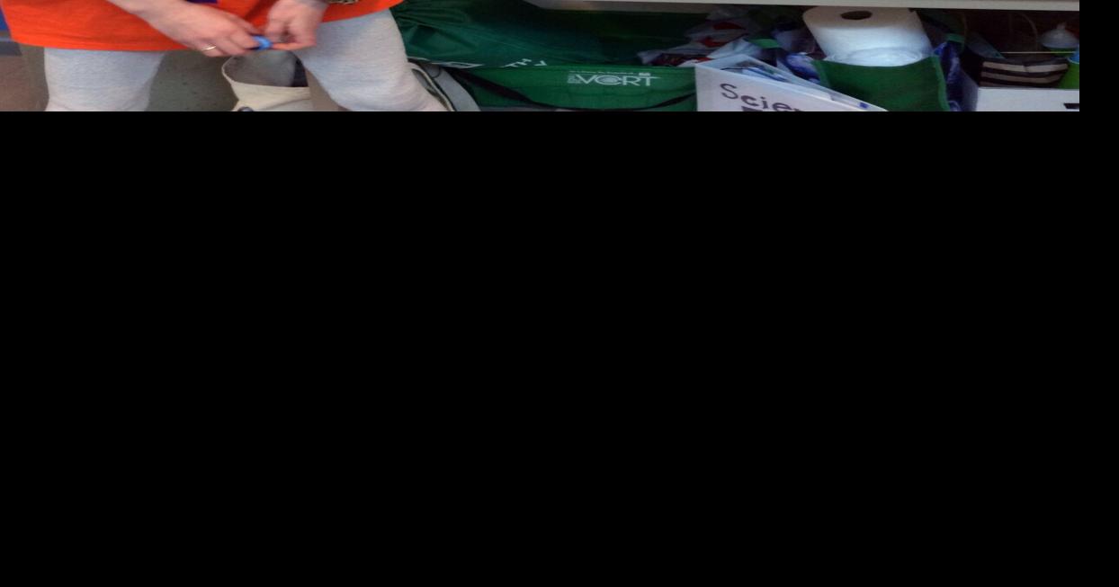 Emily Goodson to represent Simcoe at national science fair in Regina