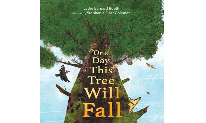Engaging Picture Books for Young Readers