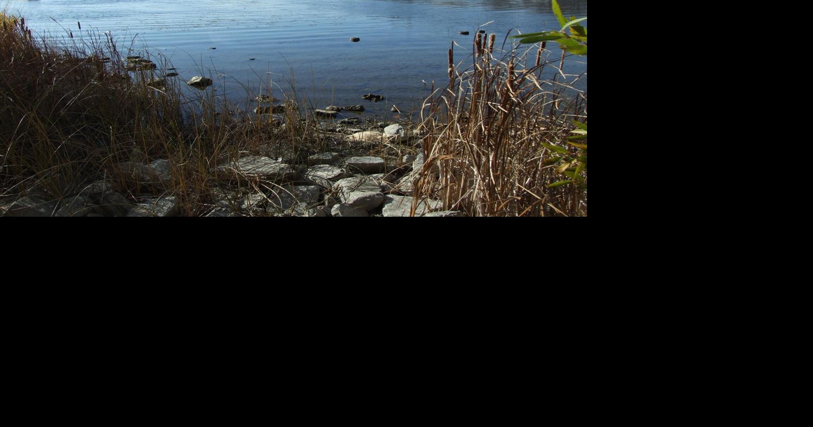 Orillia urged to join Lake Simcoe conservation authority