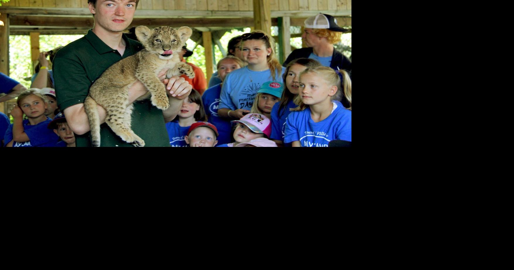 Elmvale Jungle Zoo delights campers with baby lions and more