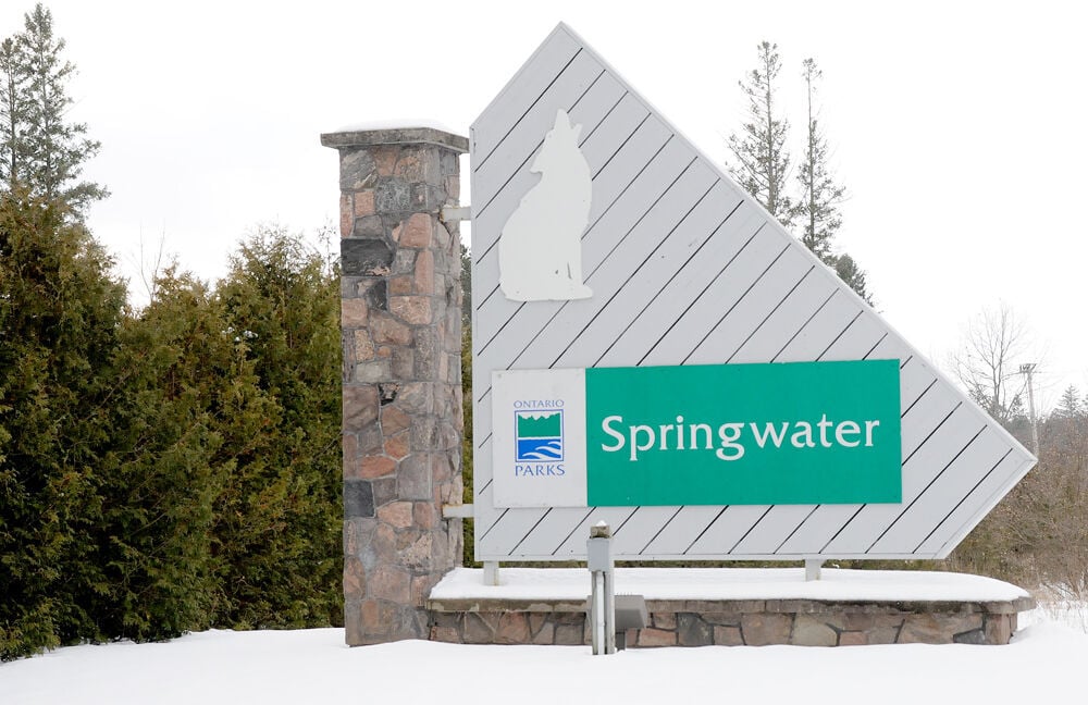 Summer day camps set for Springwater Park