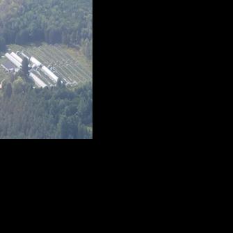 Orillia OPP busts massive marijuana grow-op in Ramara