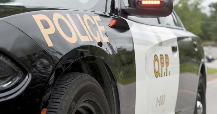 OPP say cardboard plates attached to would-be getaway car