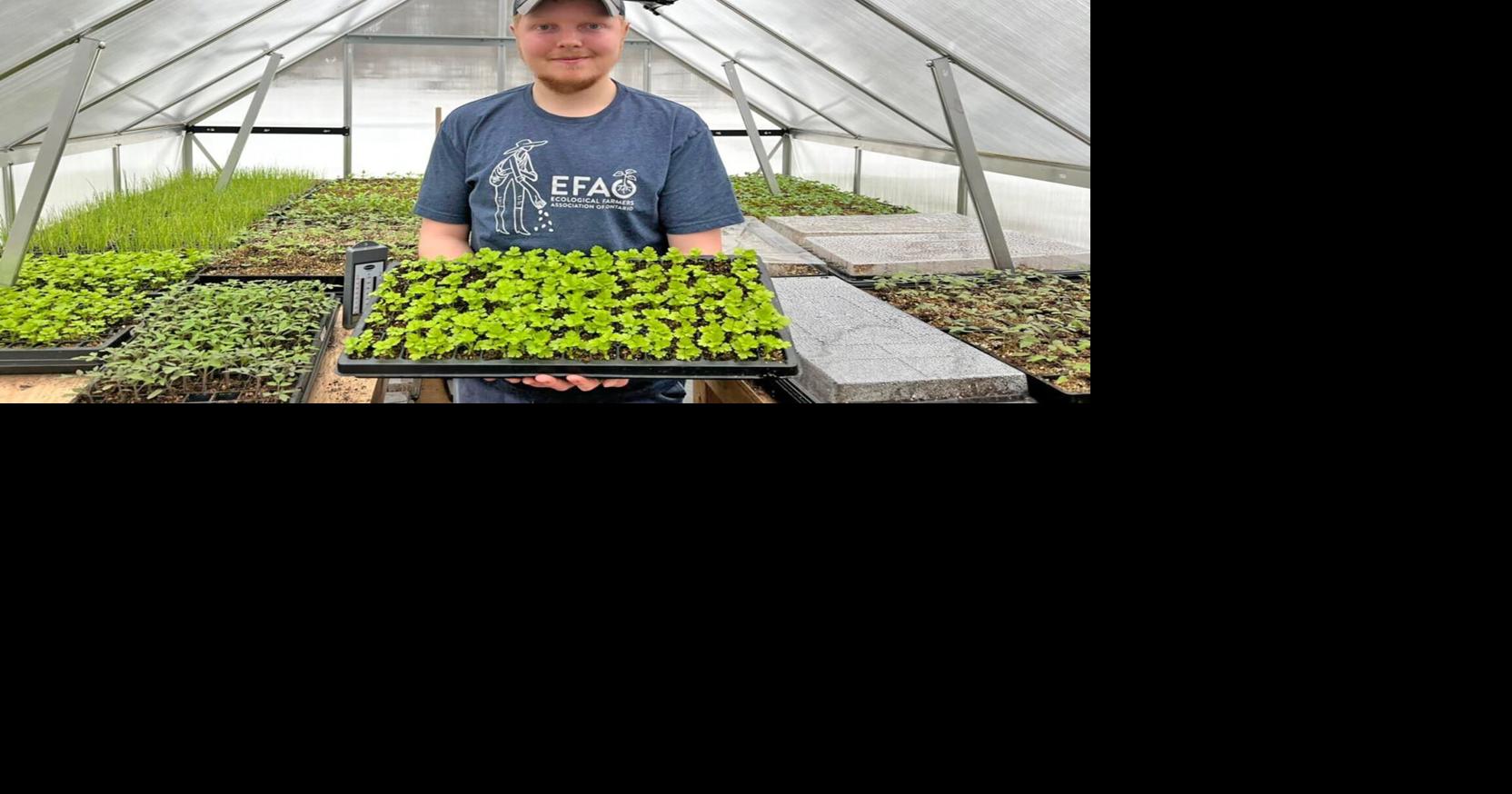 Get your Simcoe County farm fresh food with a CSA basket