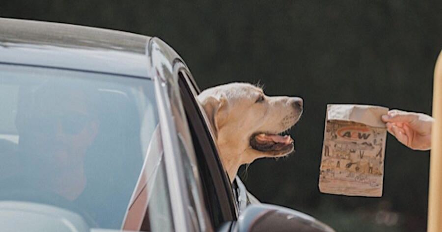 A&W stores in Ontario introduce Pup Patty for dogs