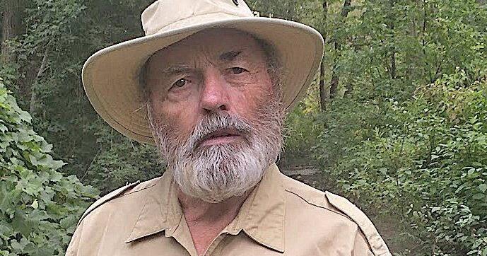 Copeland Forest a vital habitat for rare wetland species