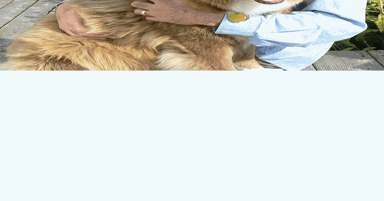Bosco: A tribute to a great dog