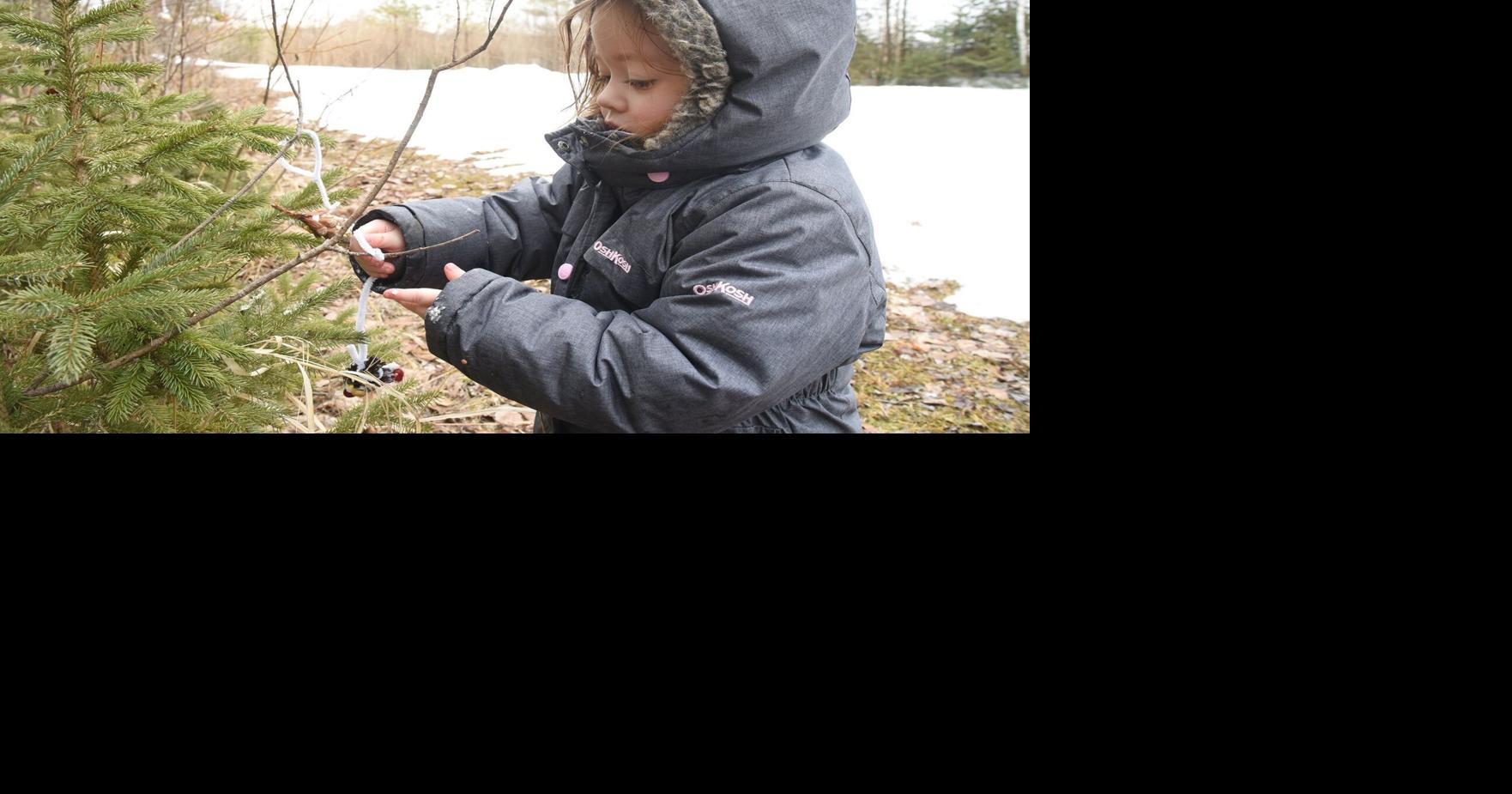 Weather watchers predicting warmer winter for Simcoe County