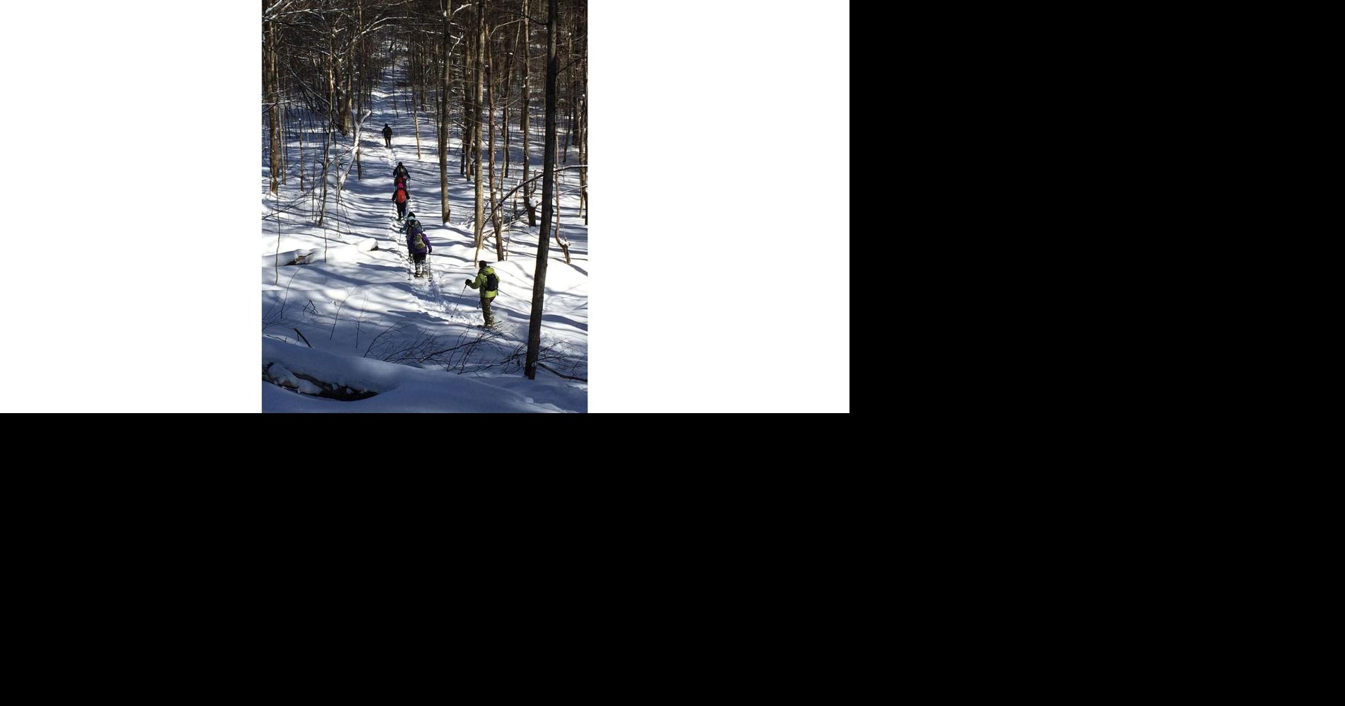 Here are five ways you can enjoy a Simcoe County forest