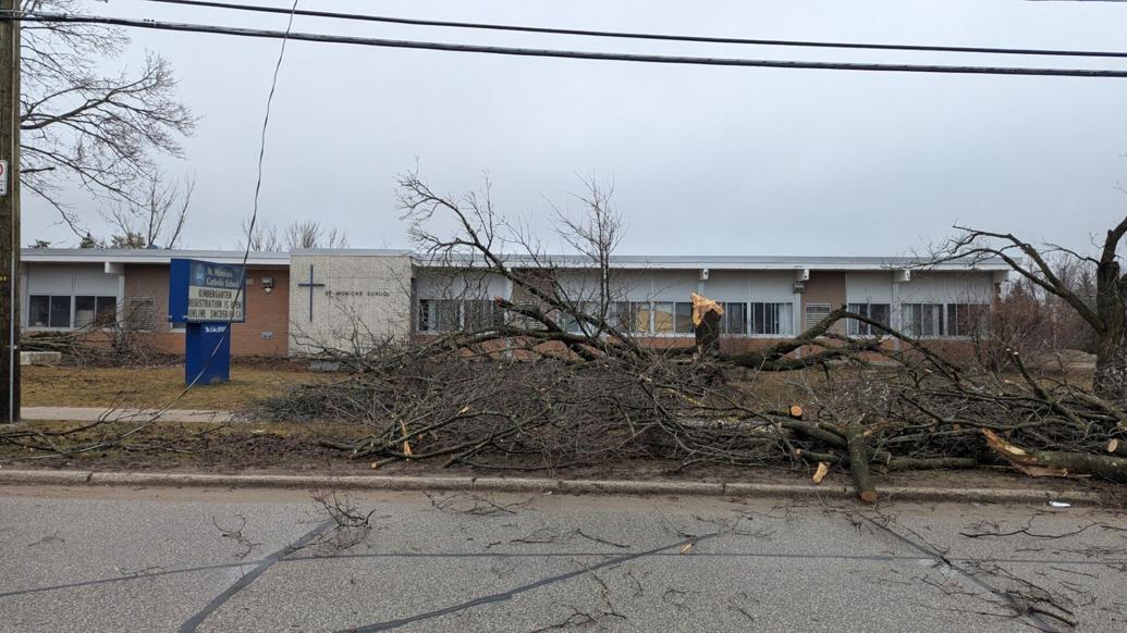 Ice storm cleanup continues in Barrie, Oro-Medonte, Orillia