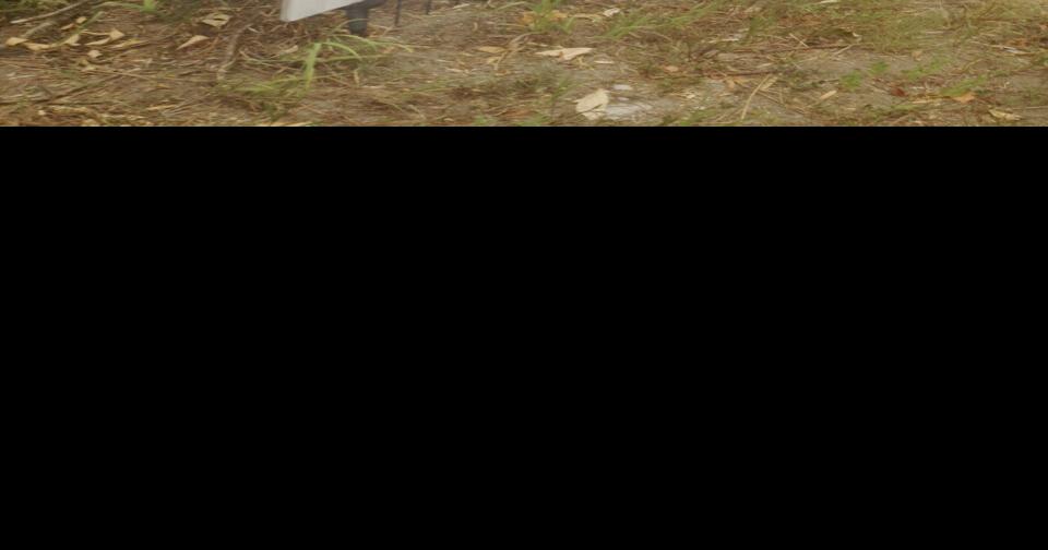 Tragically Hip's final show screened in Marchmont